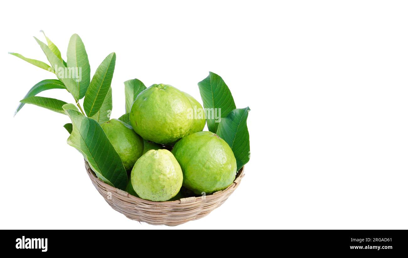 Green guava with leaves in bamboo baket on white background Stock Photo ...