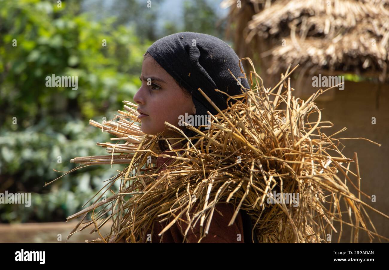 August 8, 2023, Kulgam, Jammu and Kashmir, India: A Kashmiri girl ...