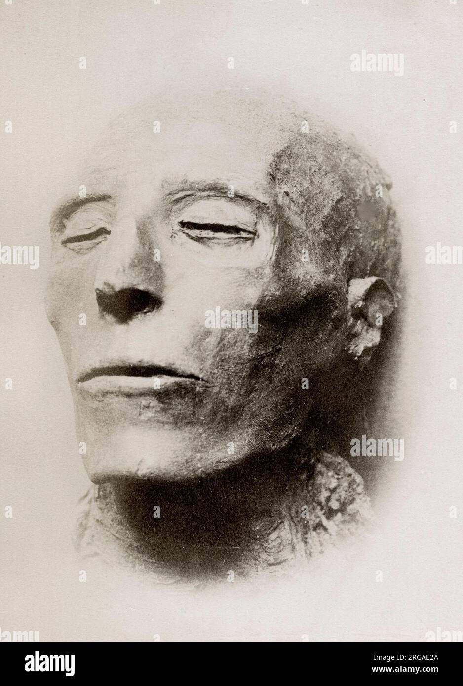 Vintage 19th century photograph - Vintage 19th century photograph - mummy mummified head of King ...