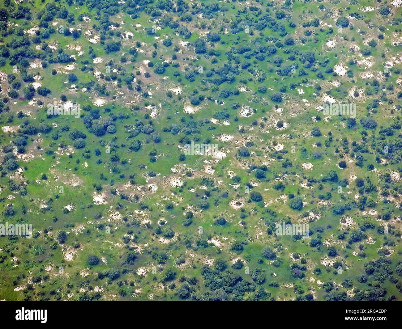 South Sudan bush Stock Photo - Alamy