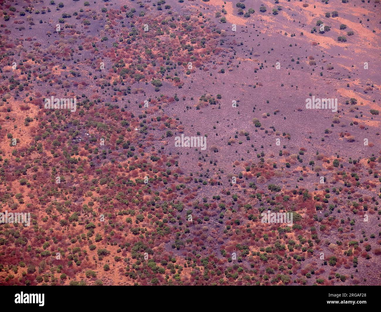 South Sudan bush Stock Photo - Alamy