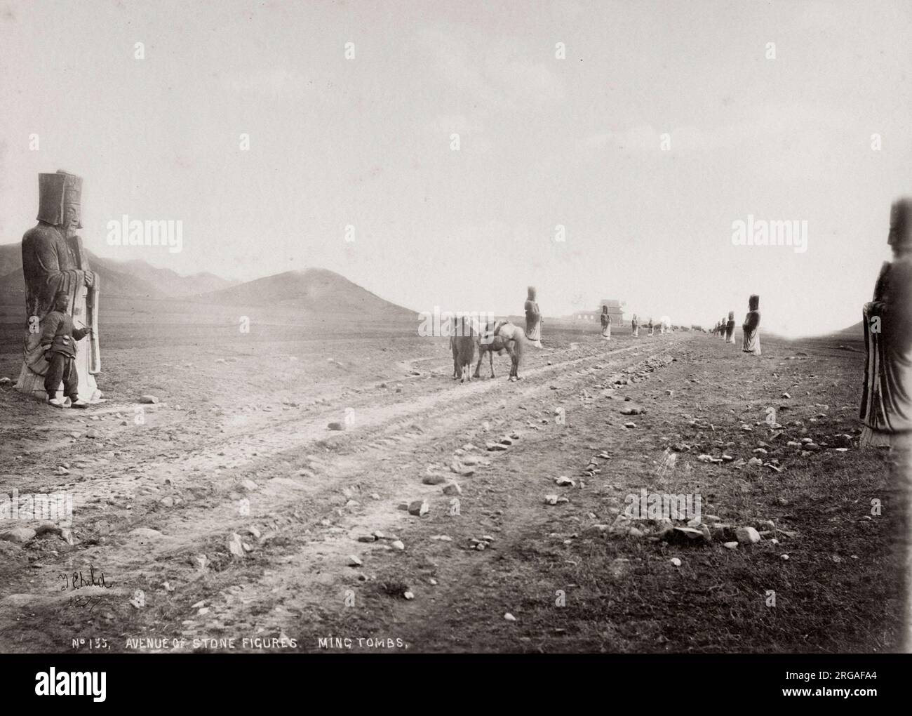 19th century vintage photograph: Avenue of stone figures, Ming Tombs ...