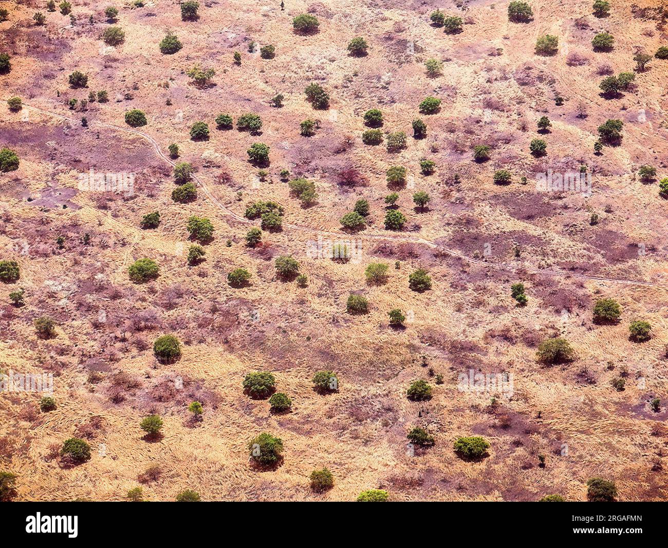 South Sudan bush Stock Photo - Alamy