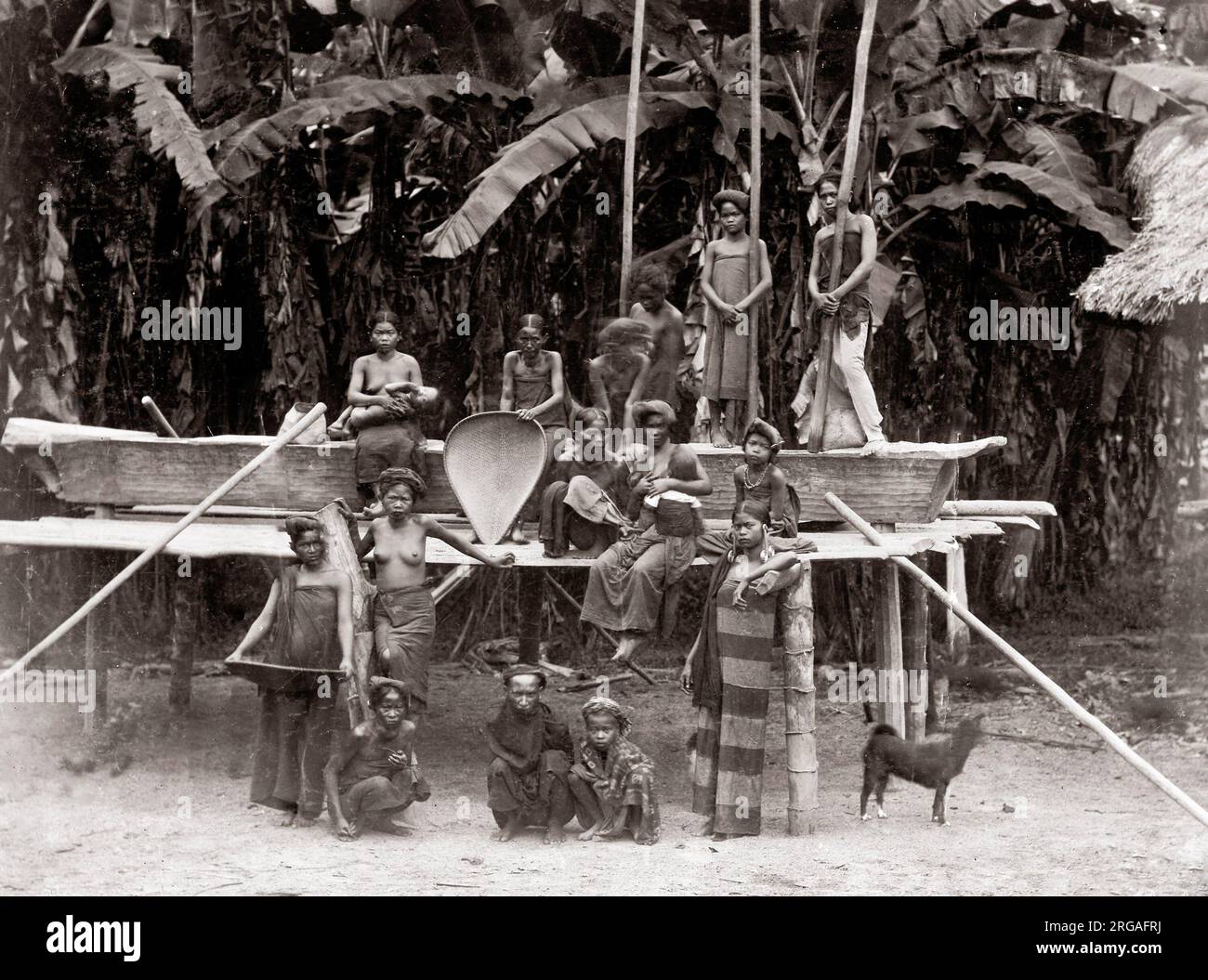 South East Asia - Malay peninsula or Dutch East Indies (Malaysia or ...