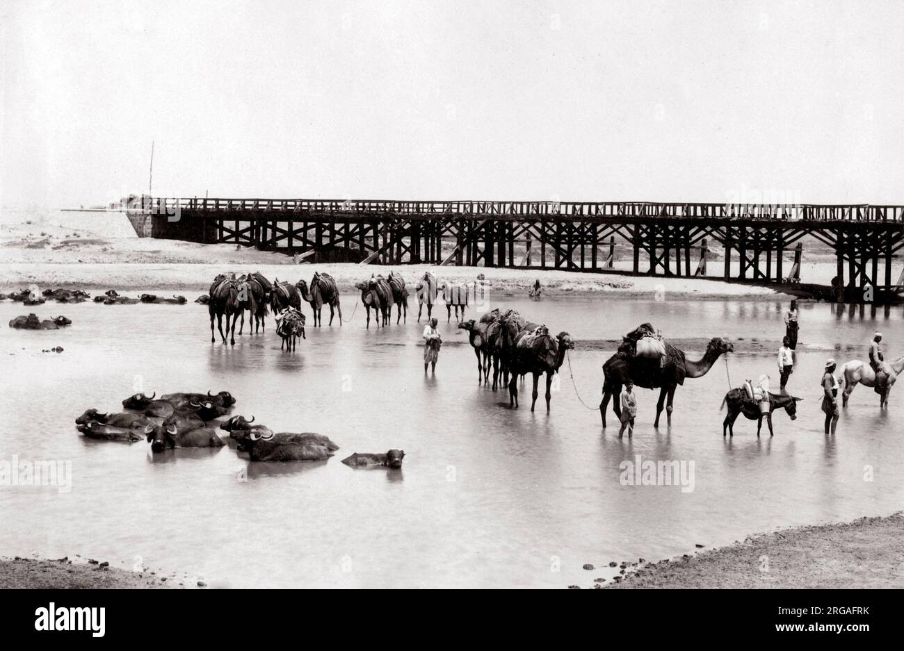 Egypt historical train hi-res stock photography and images - Alamy