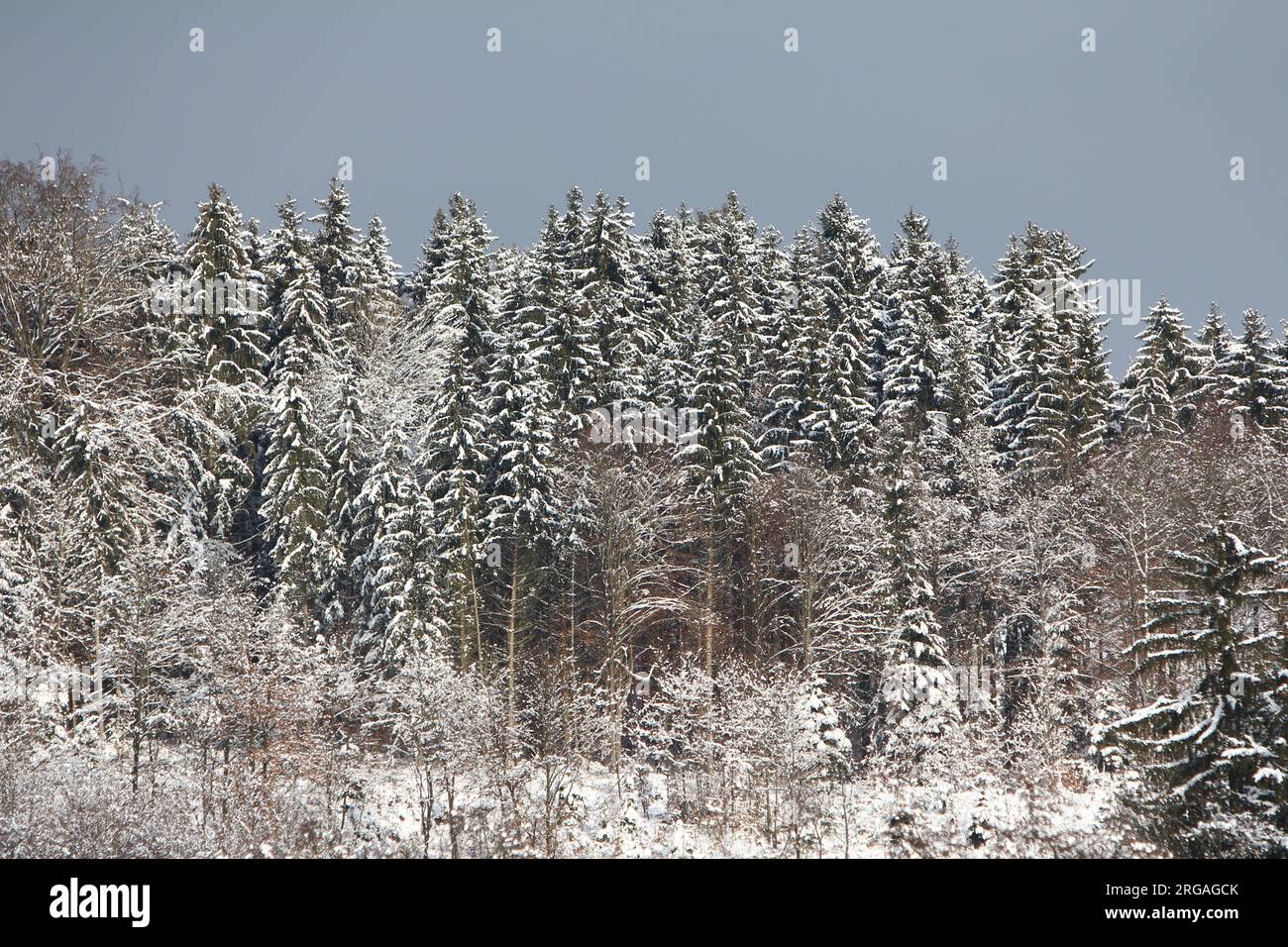 Winter with lots of snow in Bavaria is beautiful again every year Stock ...