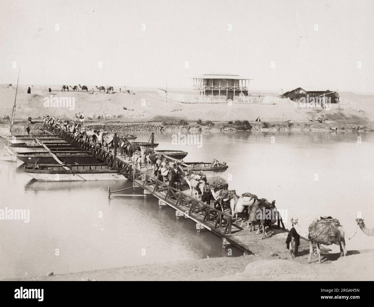 Vintage 19th century photograph: camel train crossing a pontoon bridge ...