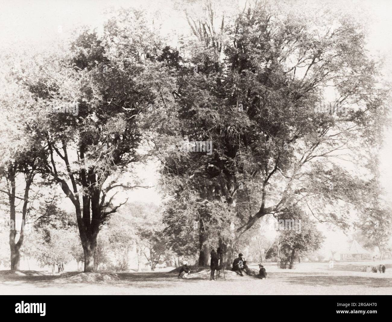 Vintage 19th century photograph: public gardens, Gonda, India ...