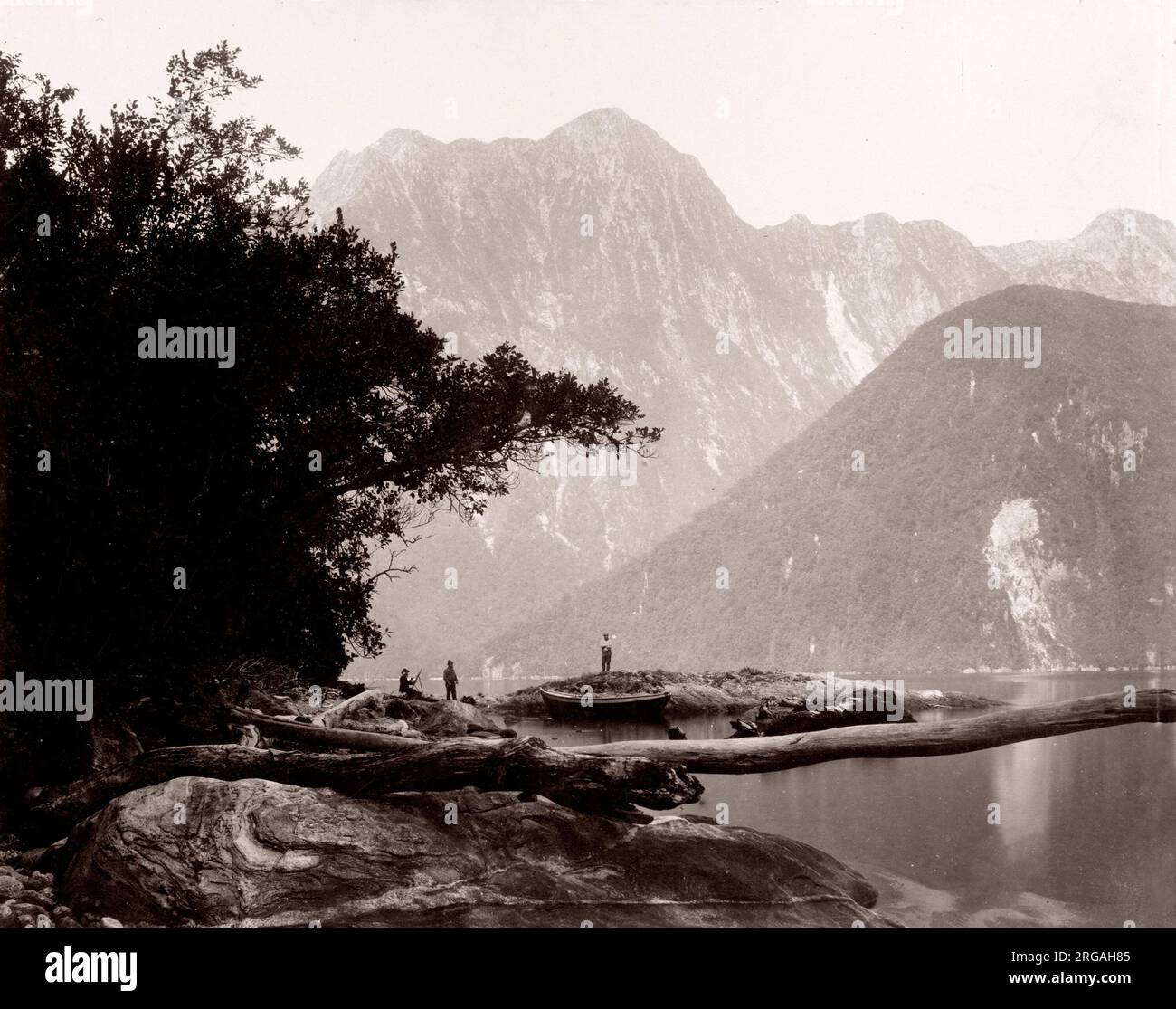 Harrison cove new zealand hi-res stock photography and images - Alamy