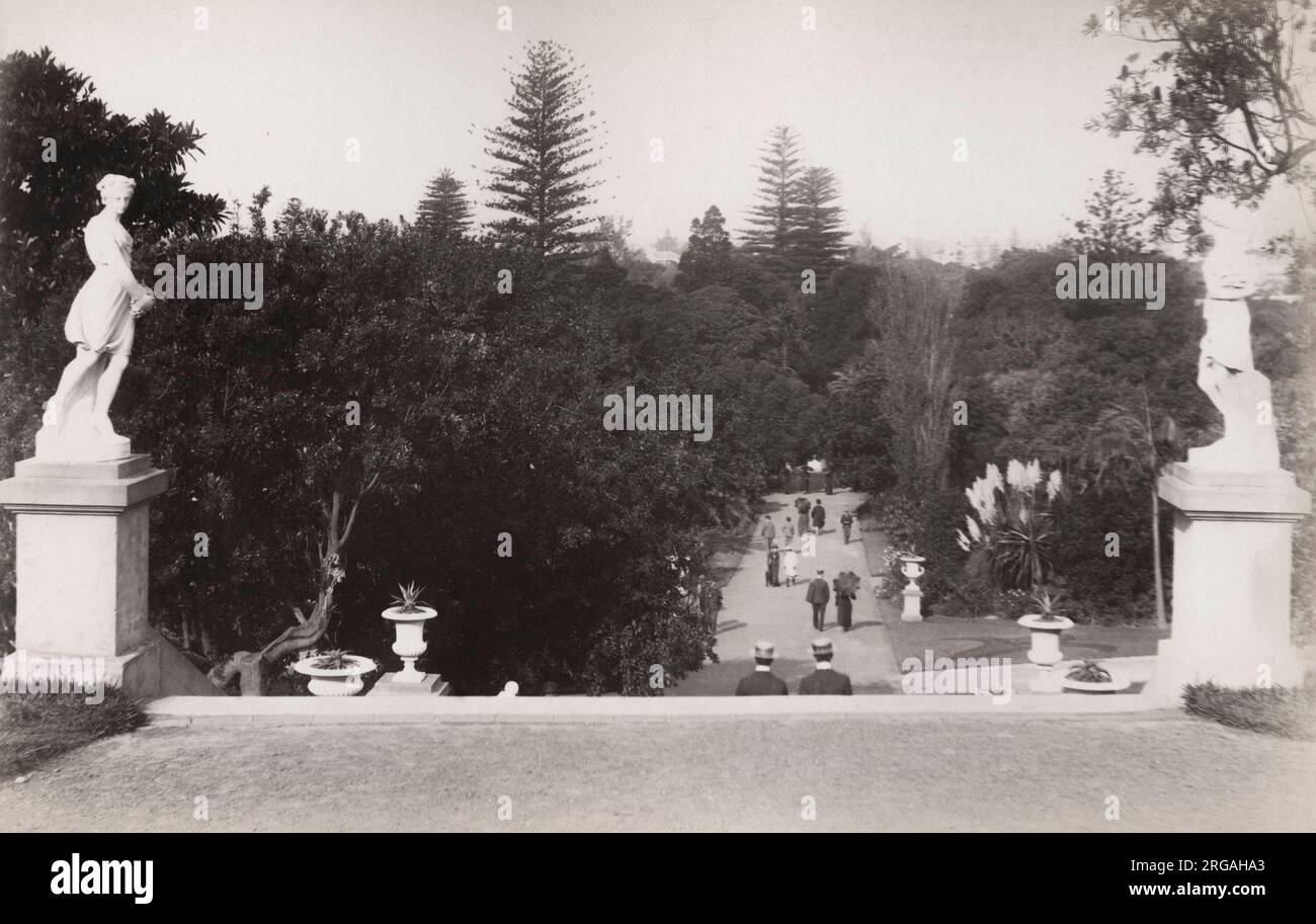 Old botanical photograph hi-res stock photography and images - Alamy