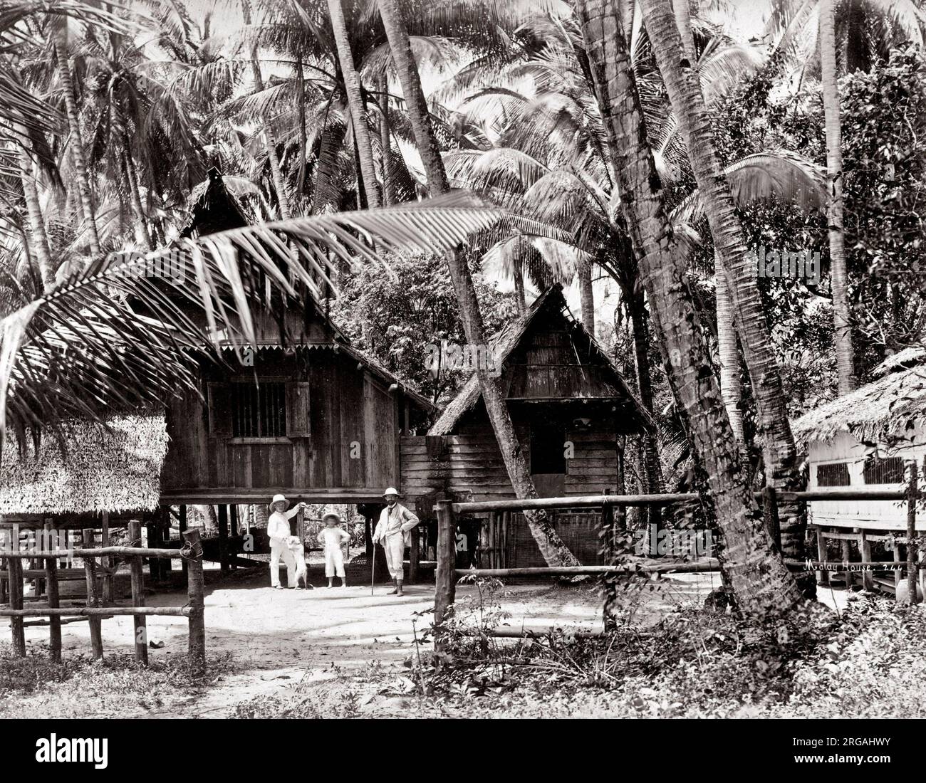 c.1880 South East Asia - indigenous native dwelling Malay peninsula ...