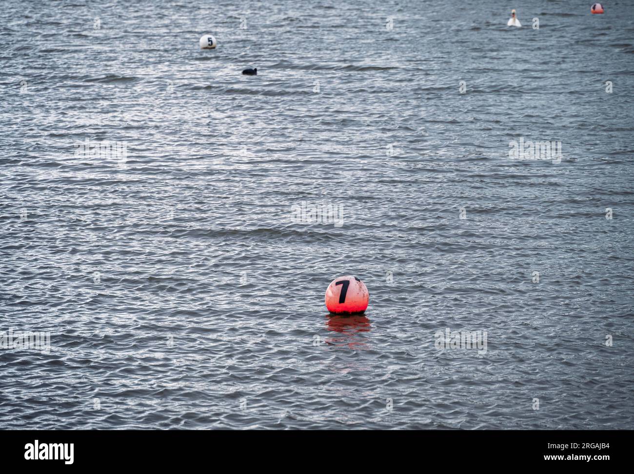 Floating buoy in lake closeup Stock Photo - Alamy