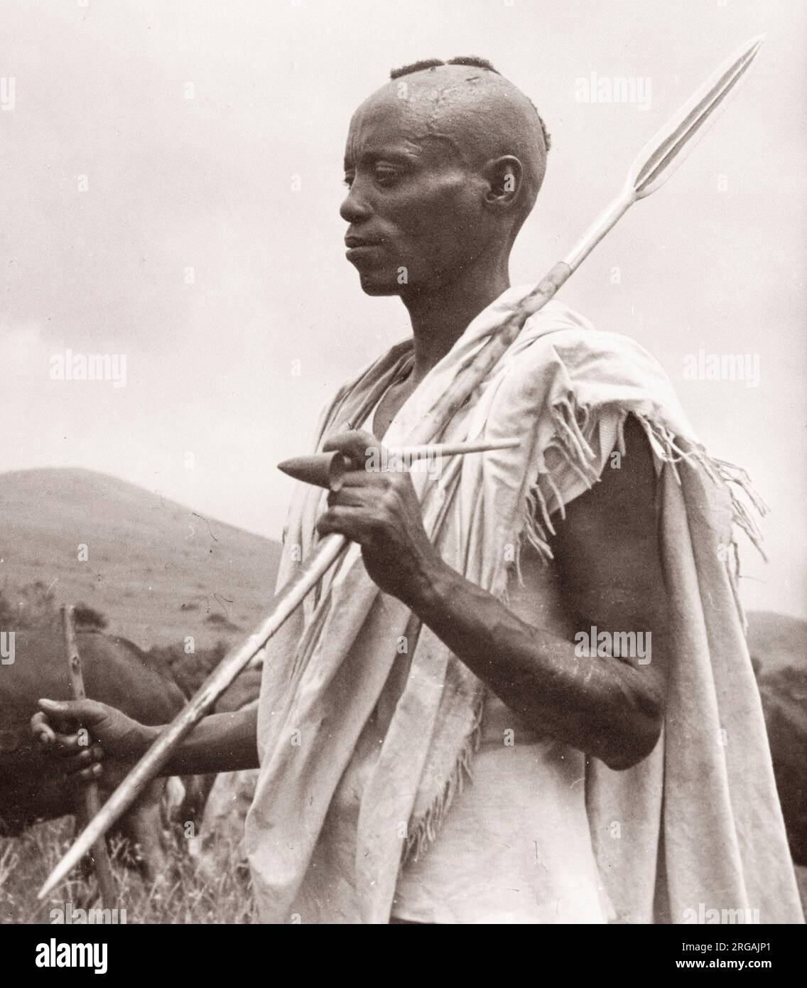 1940s East Africa Uganda herdsman of the Mugabe of Ankole (king ...