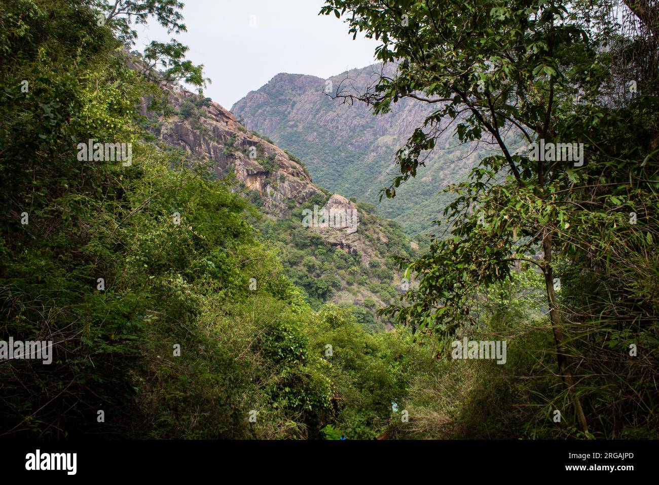 Tamil nadu mountain scenery hi-res stock photography and images - Alamy
