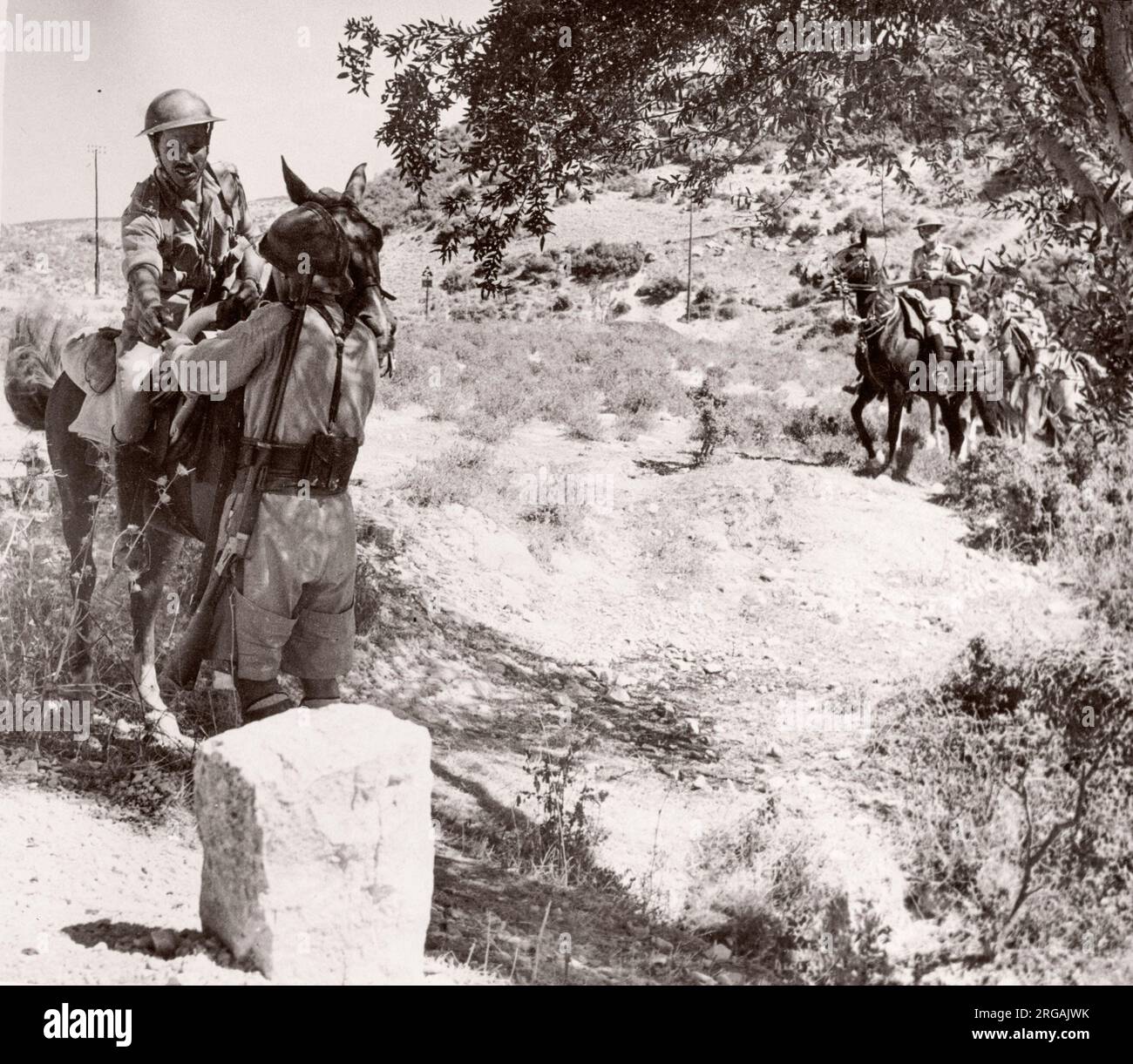 Trans jordanian hi-res stock photography and images - Alamy