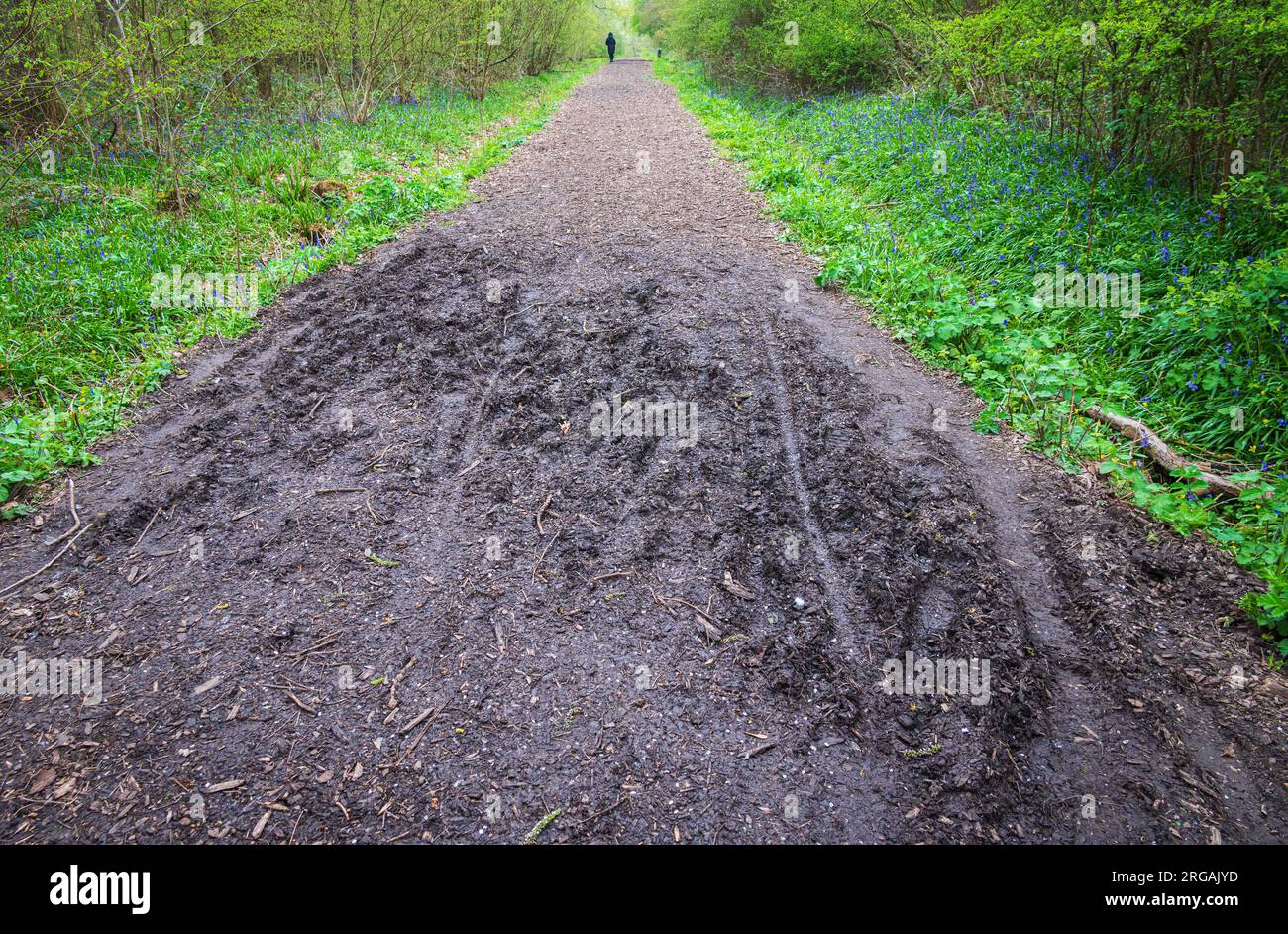 Straight footpath hi-res stock photography and images - Alamy