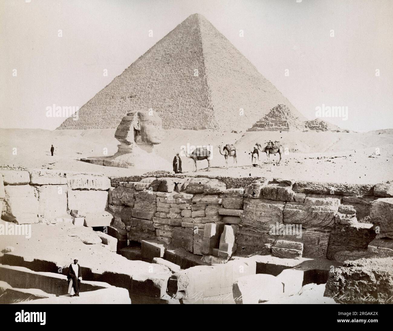 Vintage 19th century photograph - camel train in front of the Sphinx ...