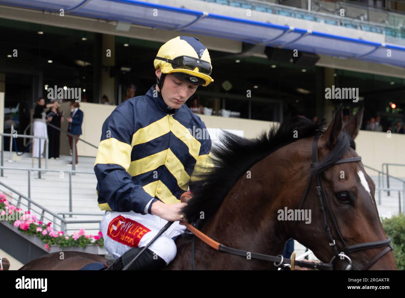 King clutterbuck hi-res stock photography and images - Alamy