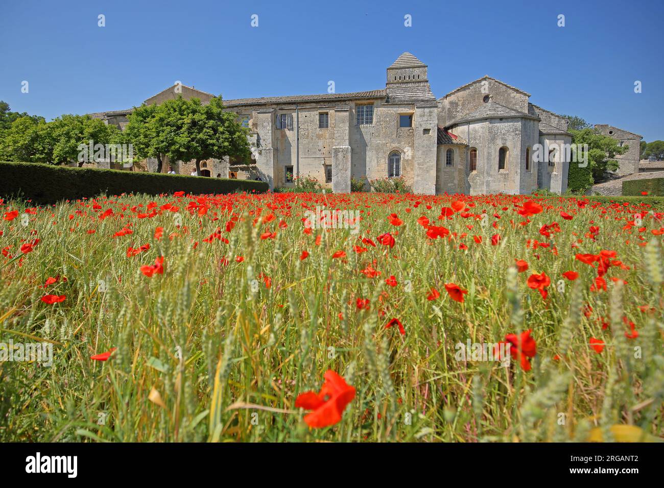 Monastery complex with poppy field Saint-Paul-de-Mausole, Saint-Rémy-de ...