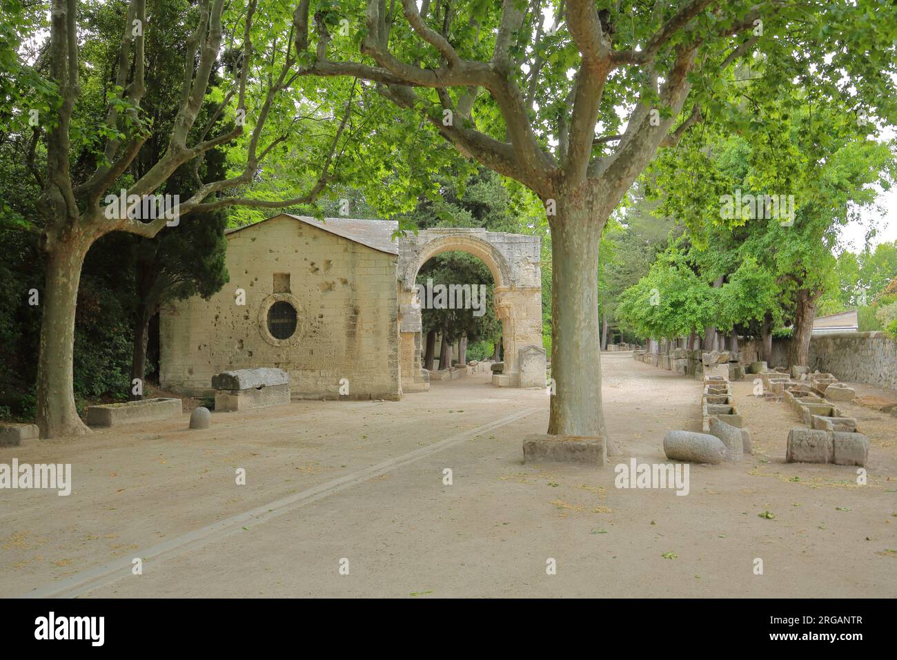 Avenue with sarcophagi and archway at Alyscamps, necropolis and ancient ...