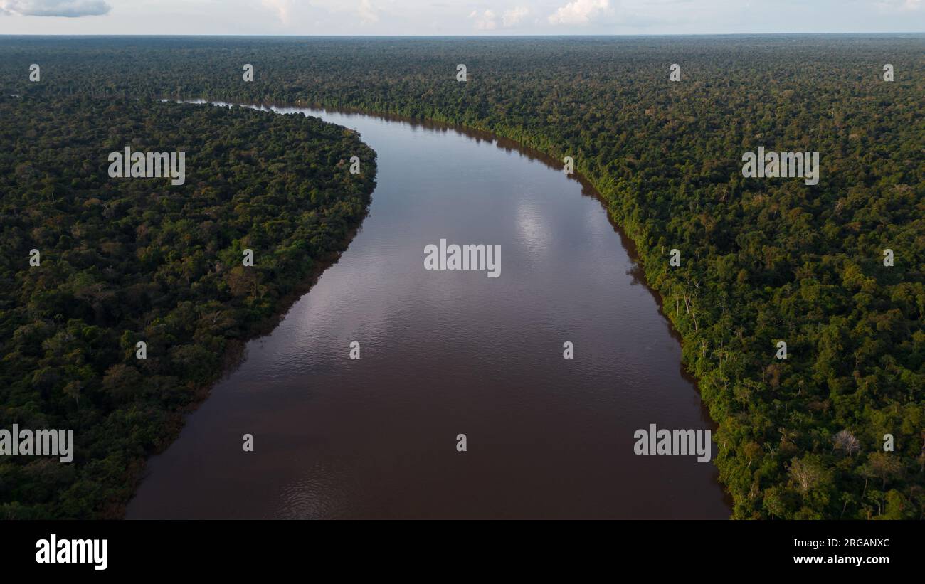 Selva viva hi-res stock photography and images - Alamy