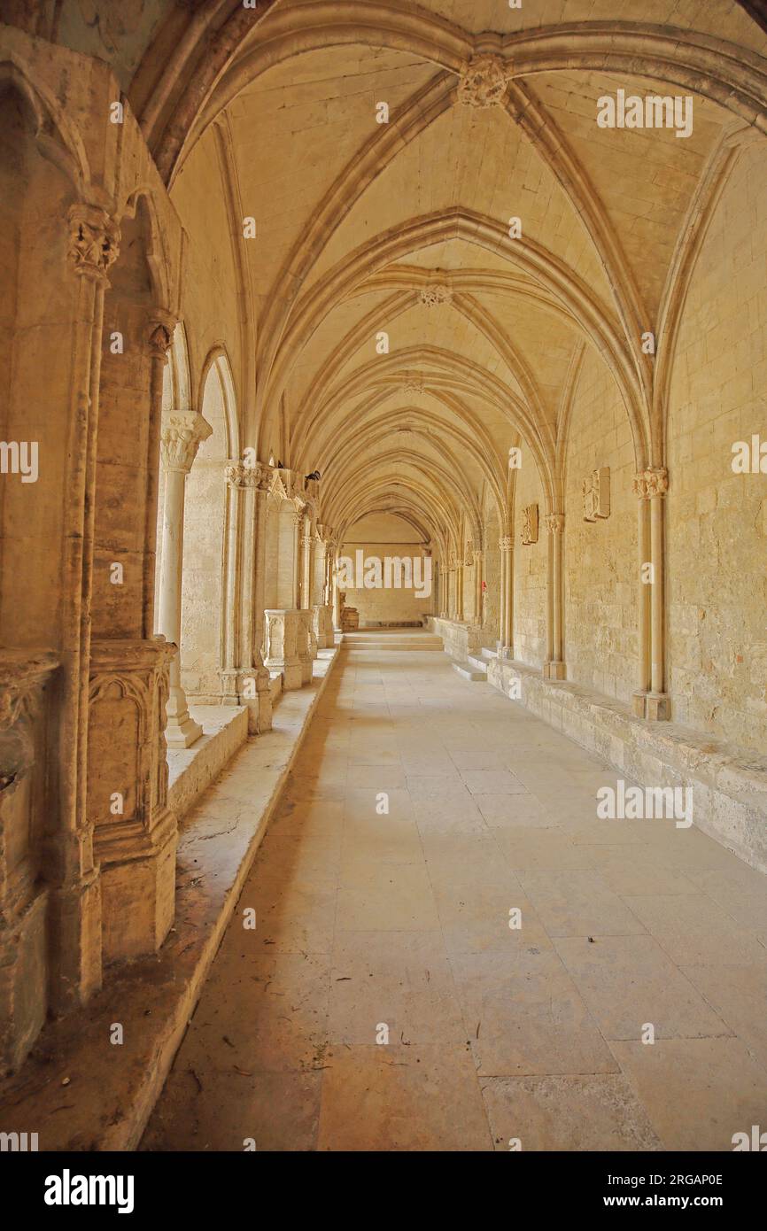 Cloister in the Romanesque Cloître St-Trophime Monastery, Arles ...