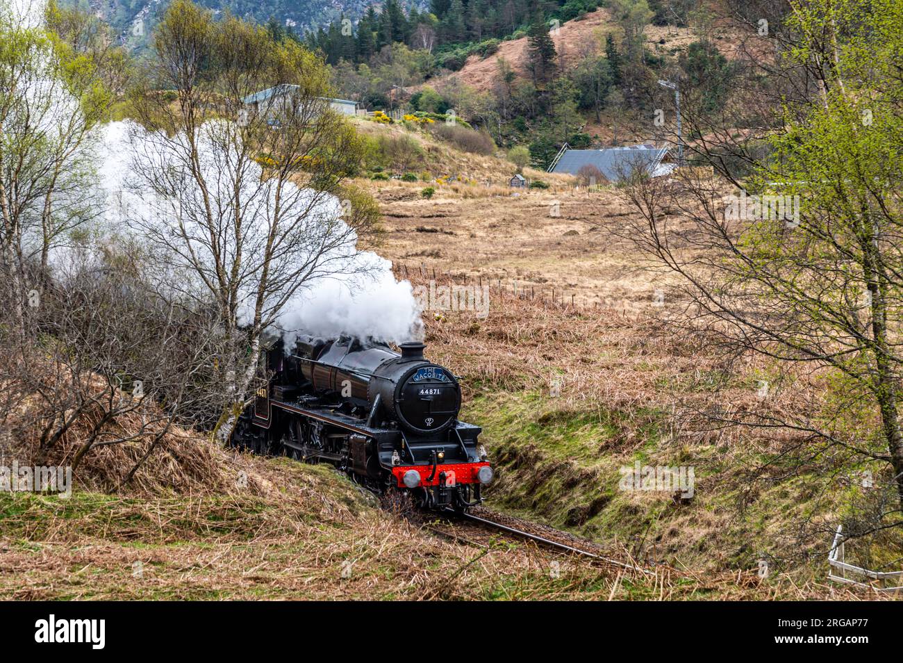 Steam train to Malaig Stock Photo - Alamy