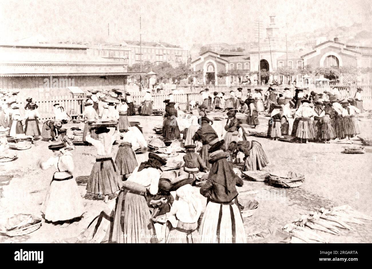 Lisbon fish market historic hi-res stock photography and images - Alamy