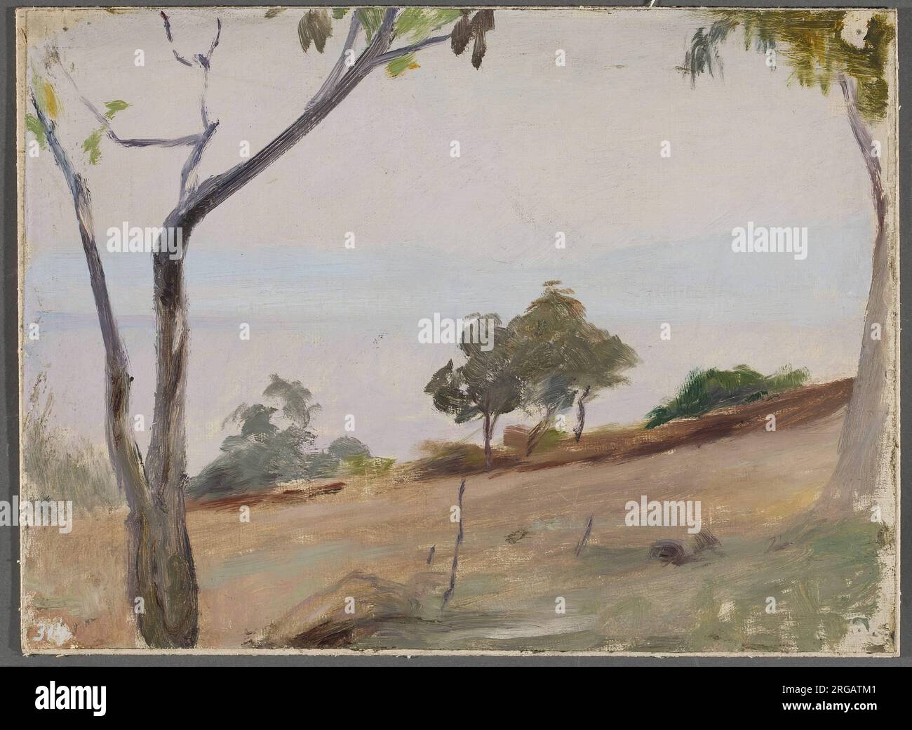 Landscape with trees. From the journey to Constantinople 1893 by Jan ...