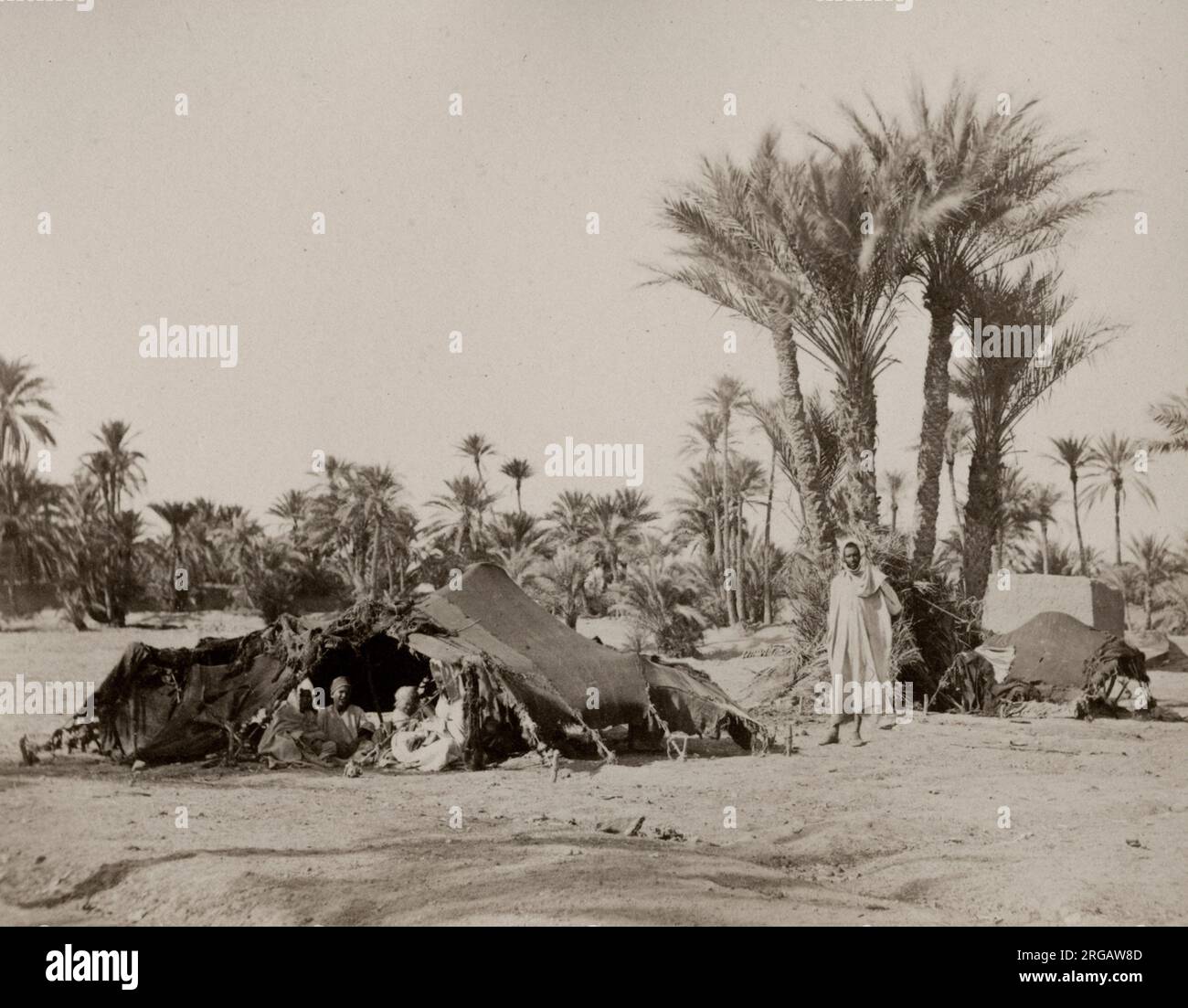 19th century vintage photograph - Bedouin camp, Biskra, Algeria. The ...