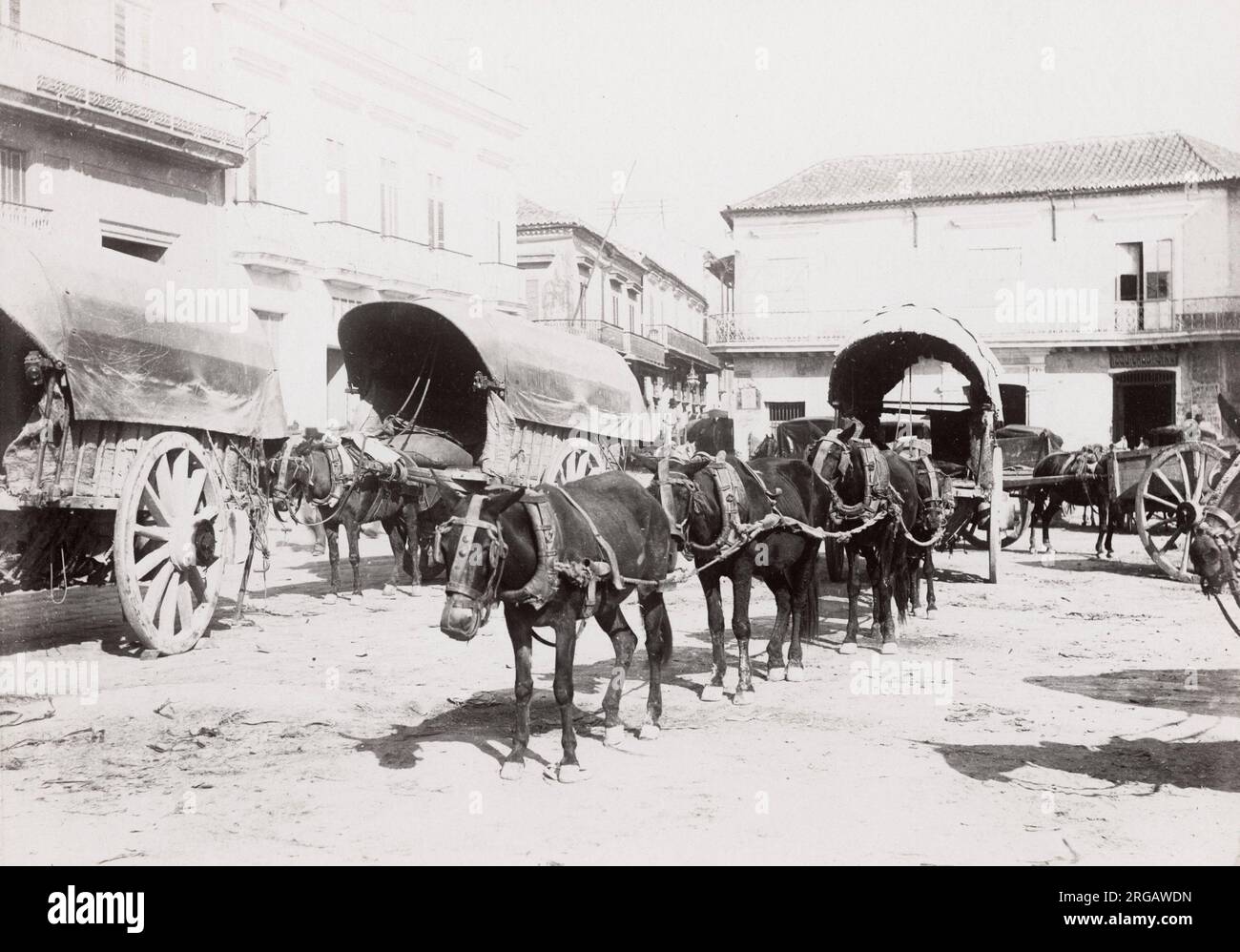 Archival carts hi-res stock photography and images - Alamy