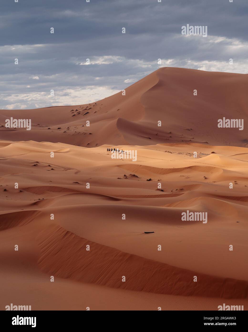 Sahara Morocco: Majestic desert expanse, offering golden dunes ...