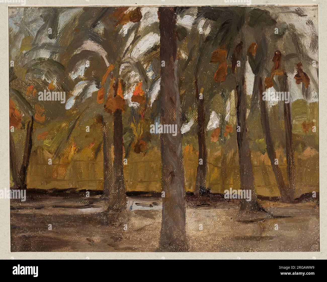 Egyptian palm forest. From the journey to Egypt 1903 by Jan Ciągliński ...