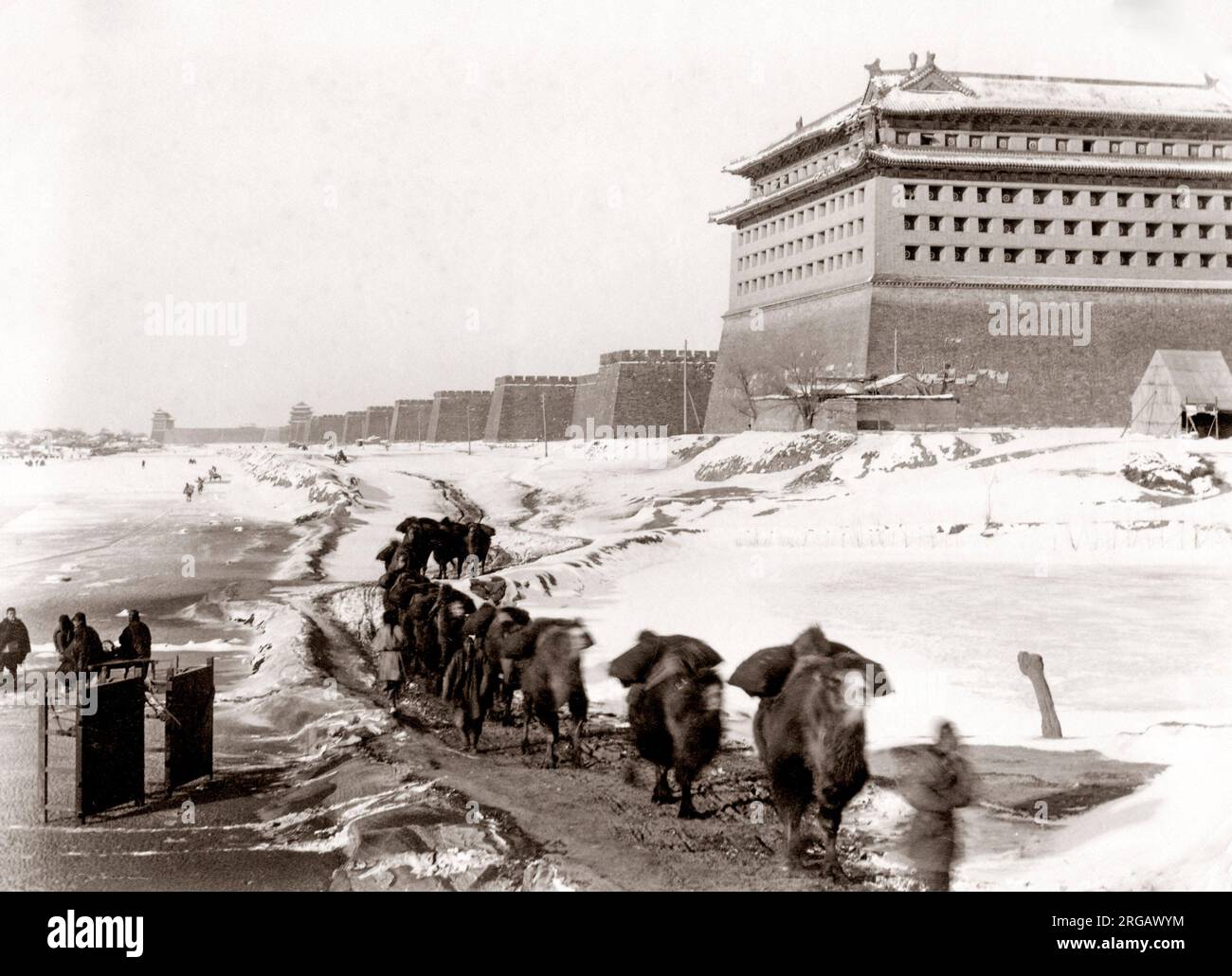 City walls in snow, camels, Peking, Beijing, China c.1900 Stock Photo ...