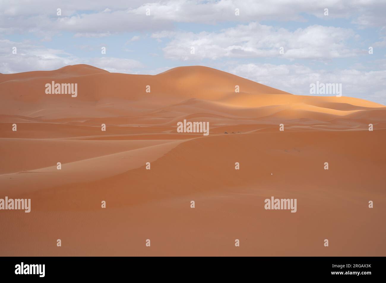 Sahara Morocco: Majestic desert expanse, offering golden dunes ...