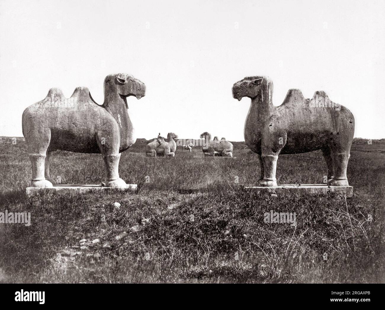 c.1880s China - stone animals Ming Tombs Stock Photo - Alamy