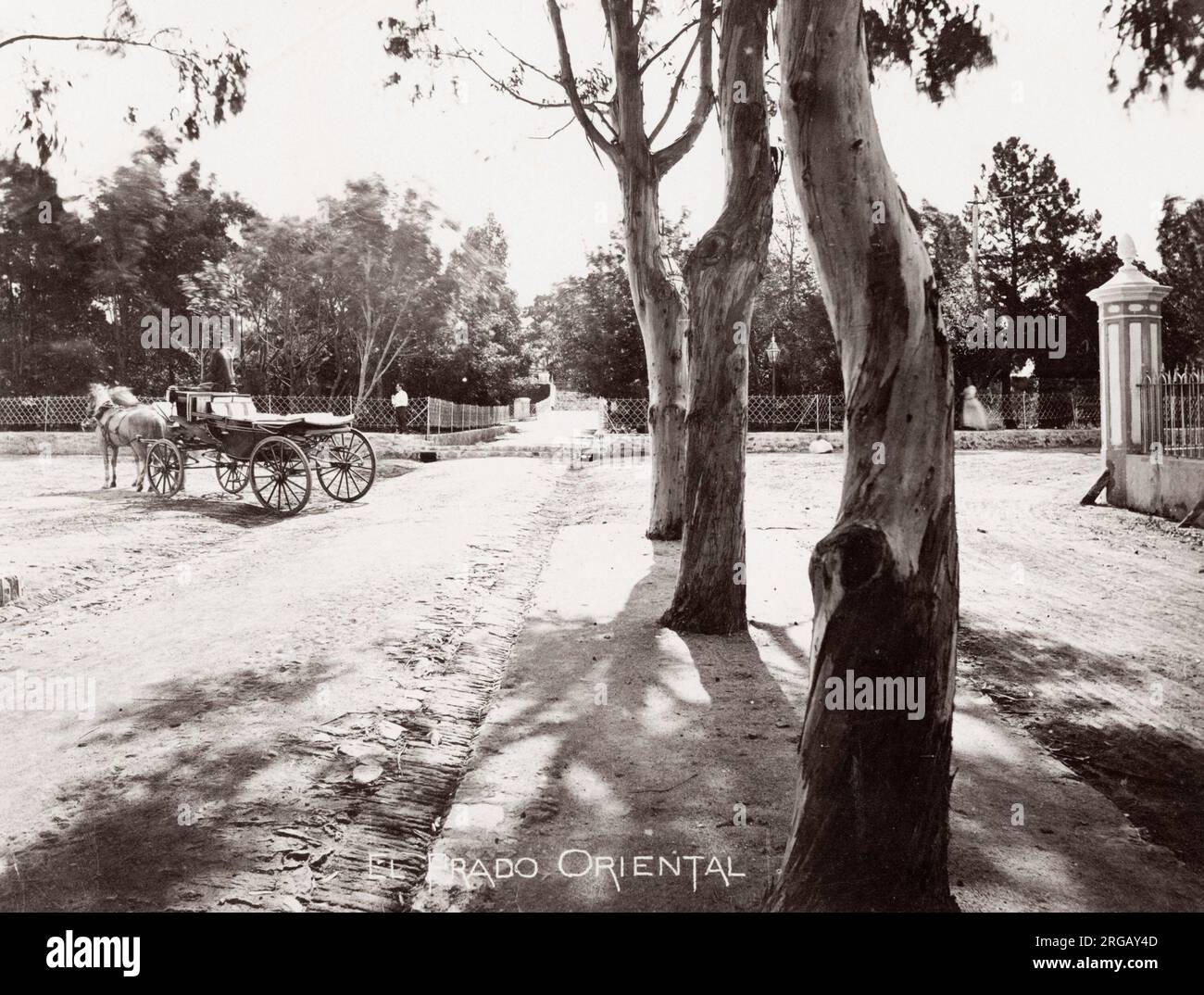 Vintage 19th century photograph: Prado, Montevideo, Uruguay Stock Photo ...