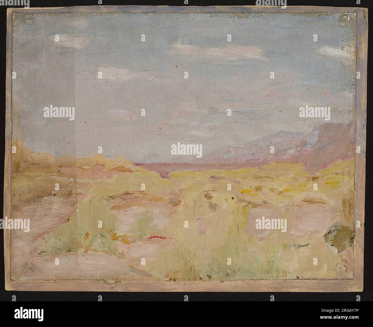 Steppe (Transcaspian Land) From the journey to Turkestan 1912 by Jan ...