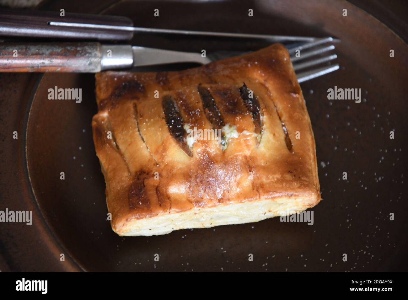 Salmn fish hi-res stock photography and images - Alamy