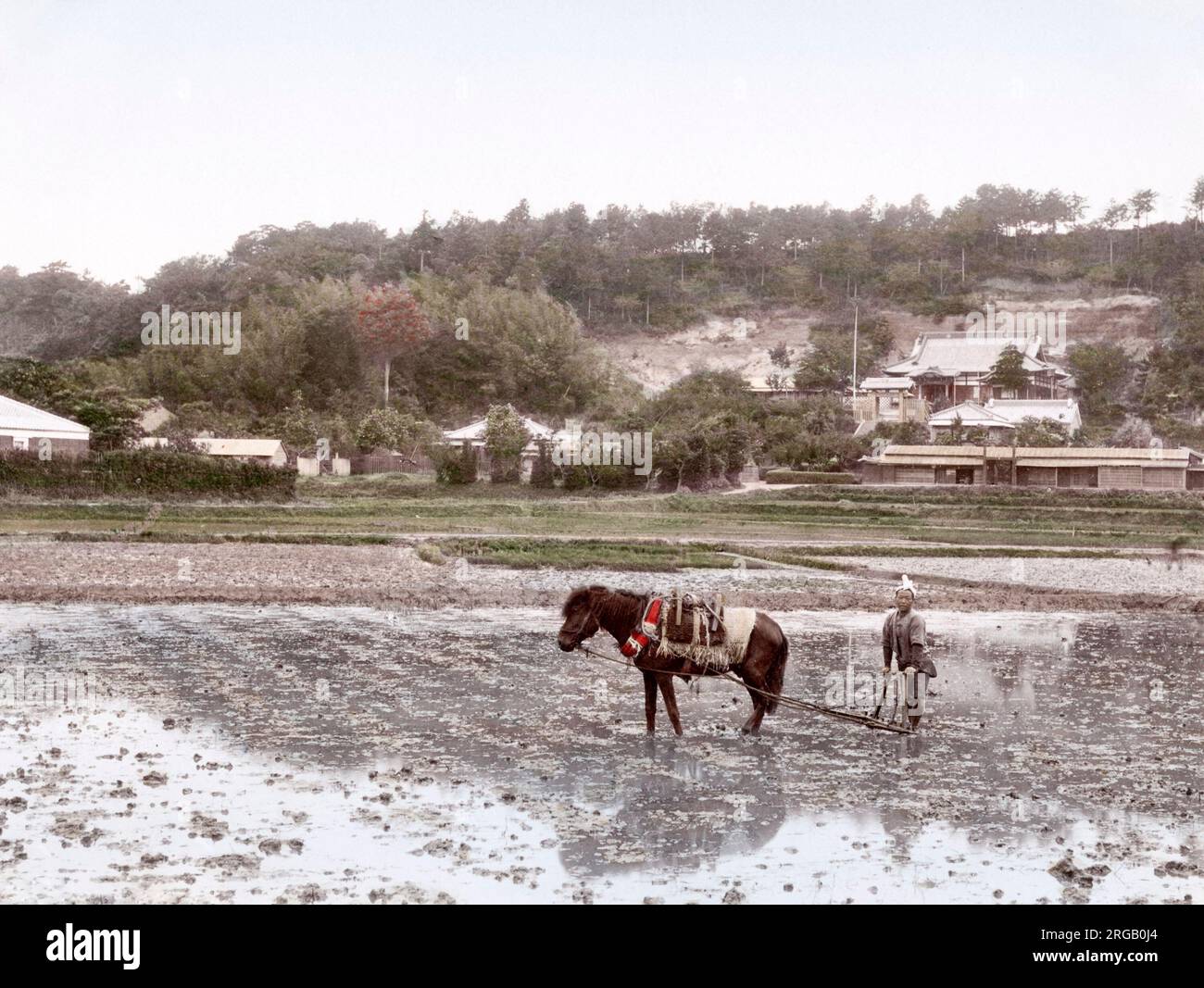 Farmer 1900s hi-res stock photography and images - Alamy