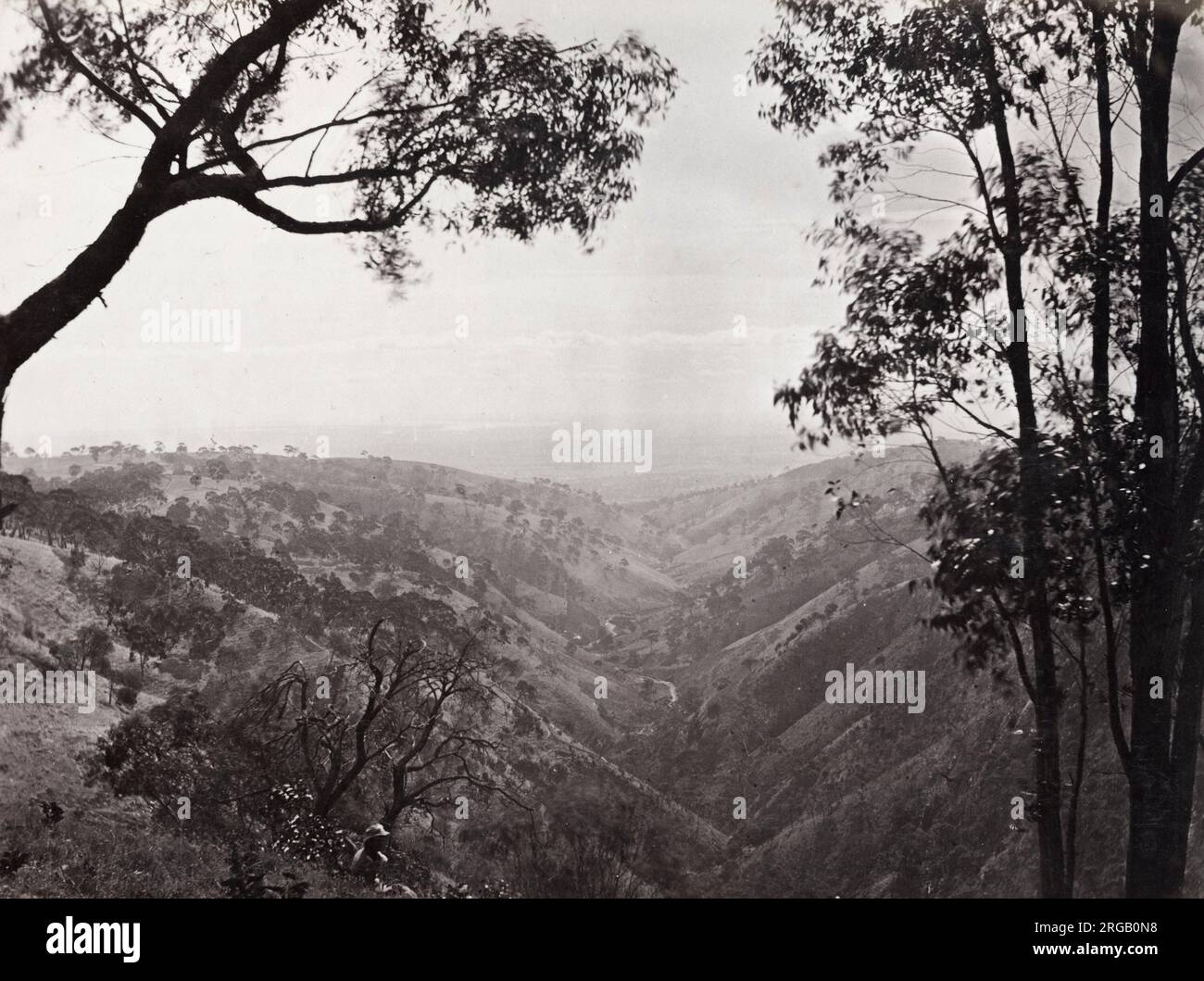 Late 19th century photograph - Adelaide Hills, Australia Stock Photo ...