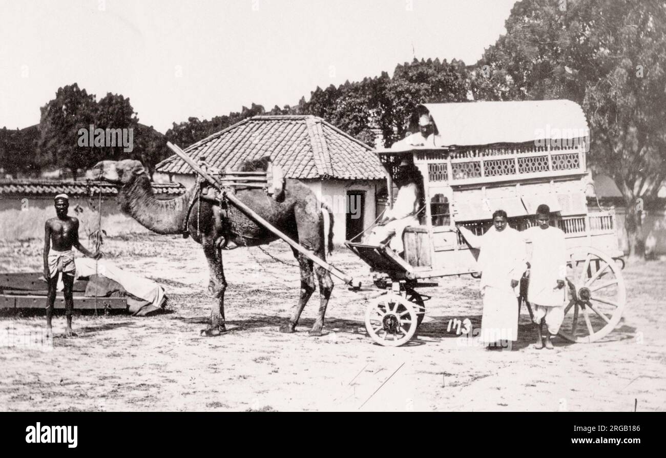 Vintage 19th century photograph: camel cart or carriage, India Stock ...