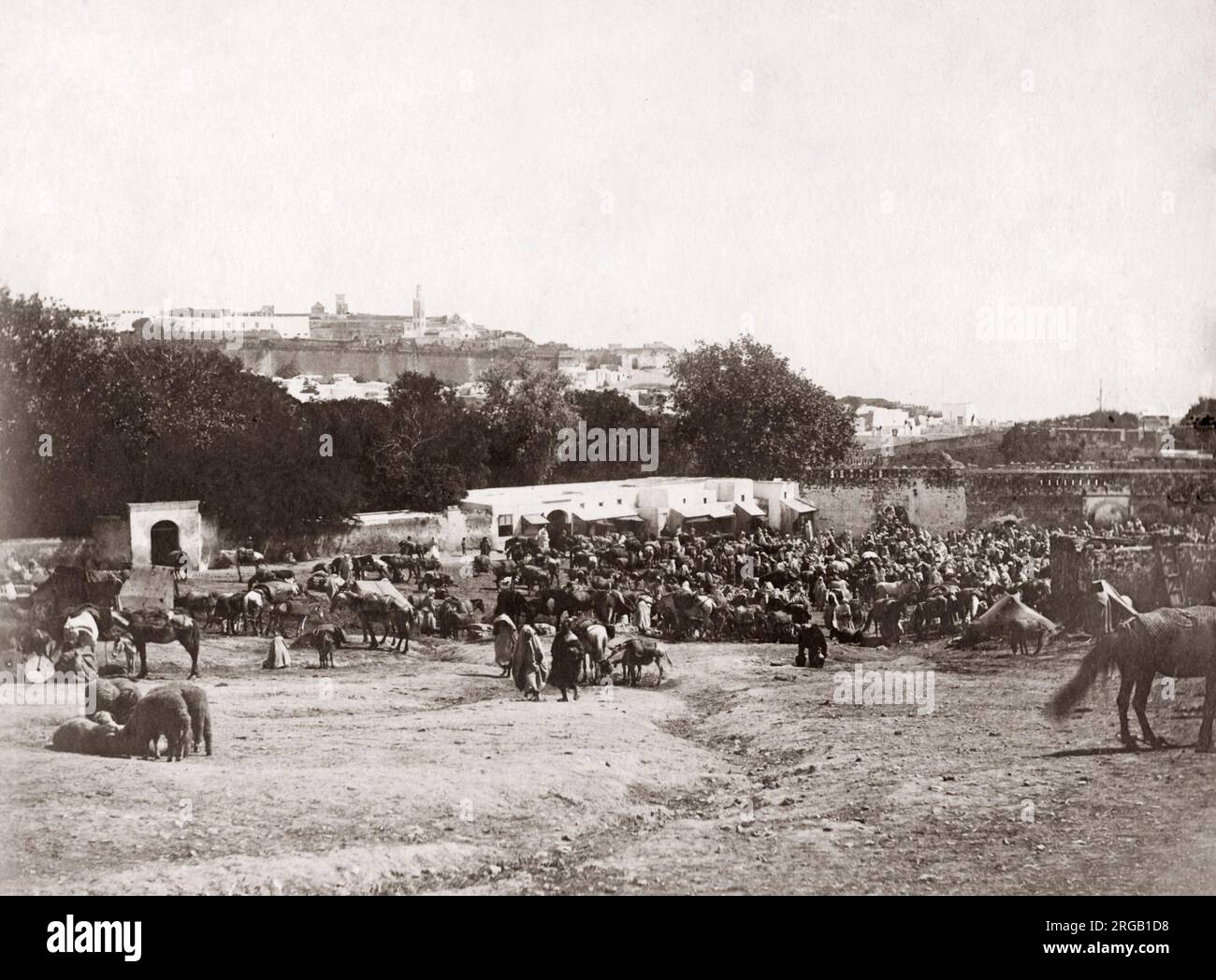 Mart, Tangier, Morocco, c.1880s Stock Photo - Alamy