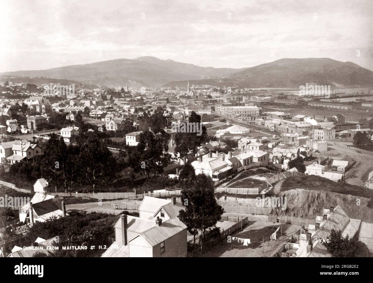Dunedin panorama hi-res stock photography and images - Alamy