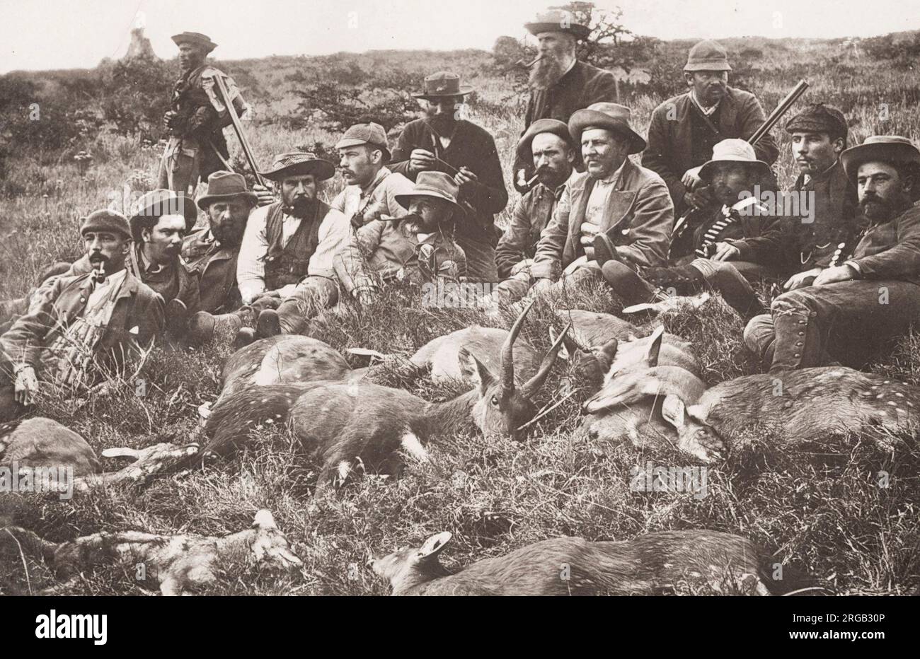 Vintage 19th century photograph: hunters with their catch of deer ...