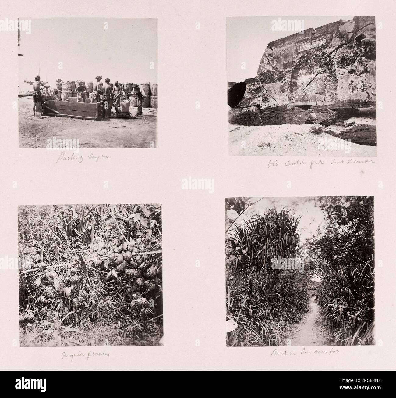 John Thomson (14 June 1837 - 29 September 1921) Scottish photographer ...