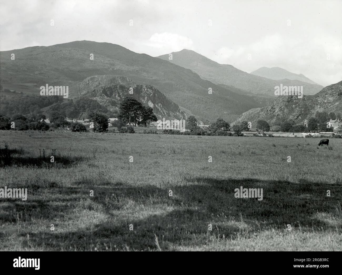 Grazing pasture meadows, Snowdonia National Park, North Wales Stock ...