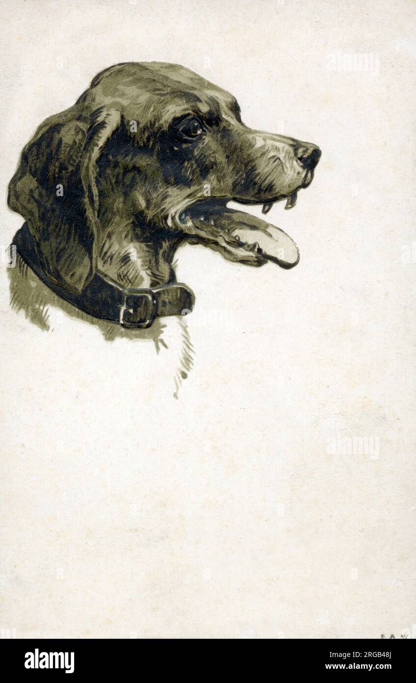 Gnashers hi-res stock photography and images - Alamy