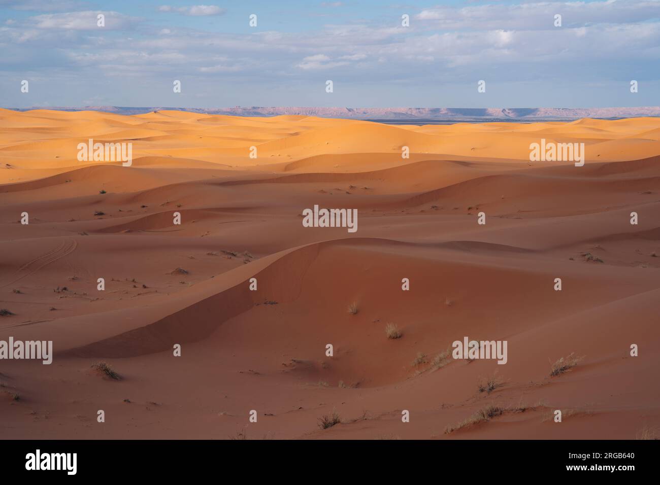 Sahara Morocco: Majestic desert expanse, offering golden dunes ...