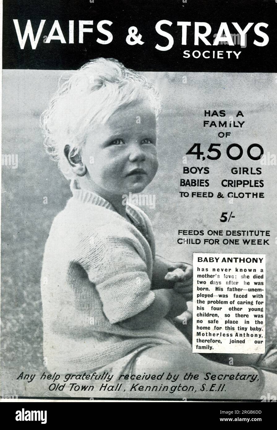 Strays and waifs society hi-res stock photography and images - Alamy